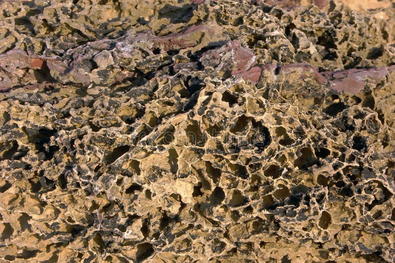 Porosity stock photo. Image of coast, natural, resort - 1288394