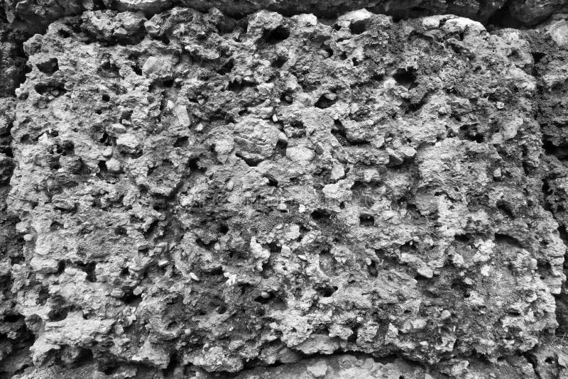 Porous Abstract Texture of Stone Surface Stock Photo - Image of color ...
