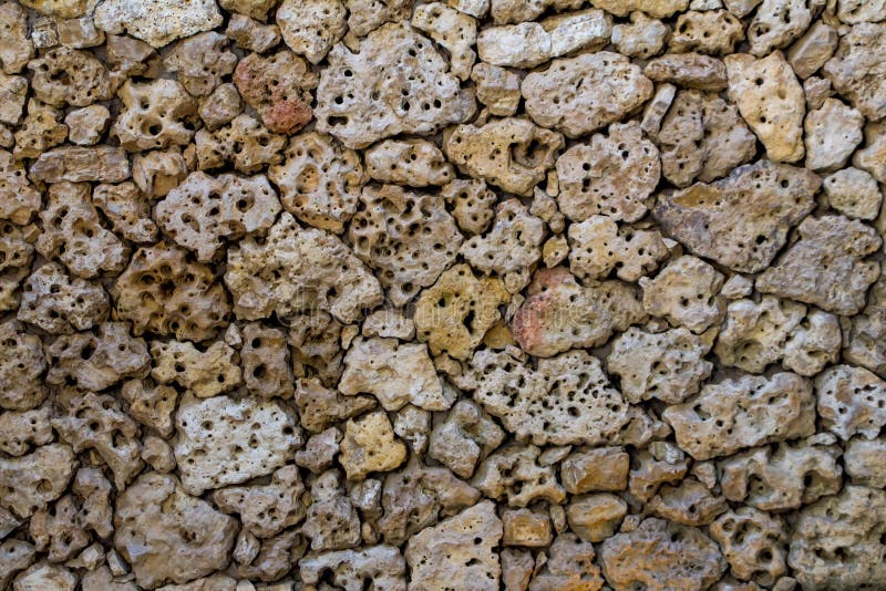 Porous pumice stones wall stock photo. Image of abstract - 48225910