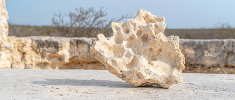 Porous Rock Formation on a Stone Surface. Stock Illustration ...