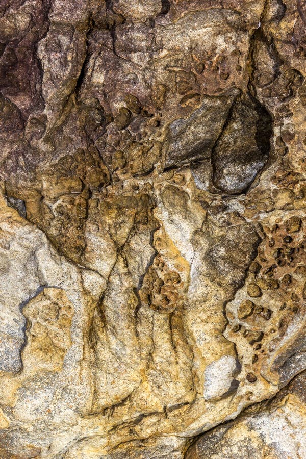 Porous rock texture stock photo. Image of mineral, stone - 35911244