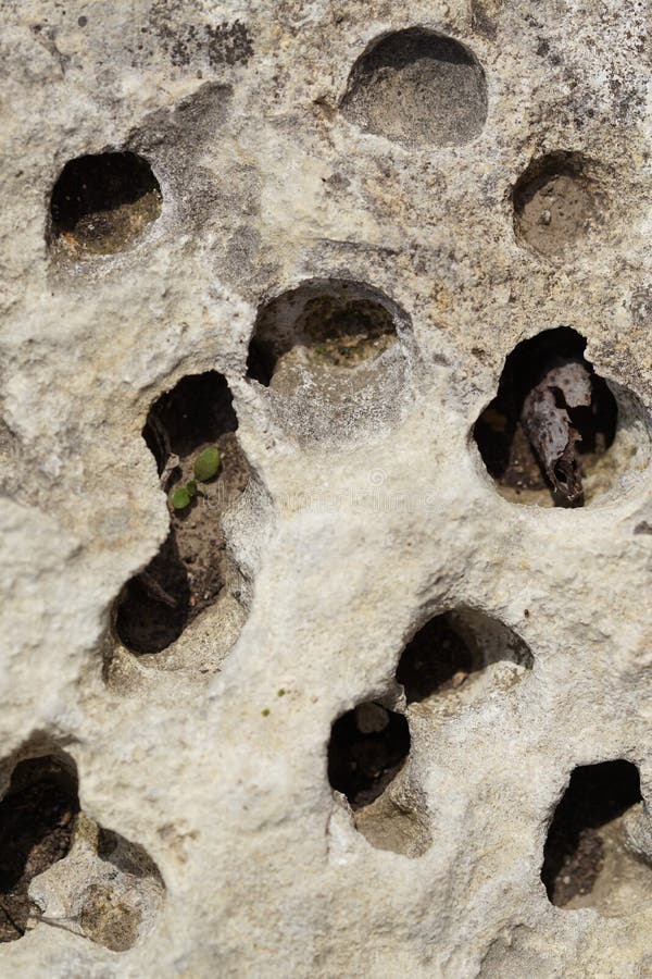 Porous Rock Texture Stock Photos - Download 3,488 Royalty Free Photos