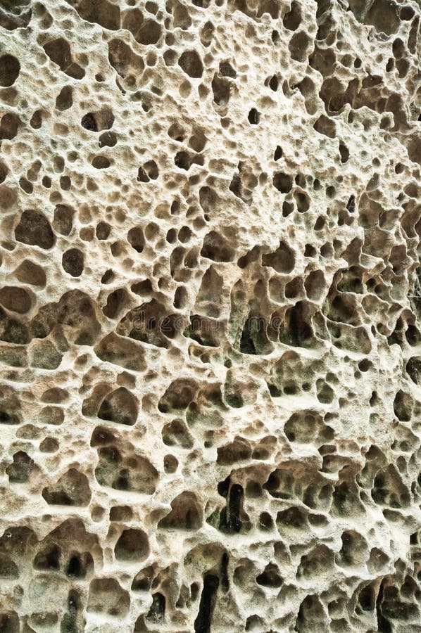 Porous sandstone structure stock photo. Image of detail - 21543820