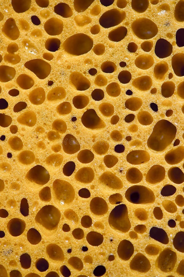 Porous Sponge Macro Texture Stock Image - Image of structure, accessory ...