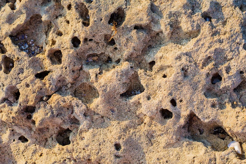Porous stone stock image. Image of backdrop, macro, closeup - 125442489