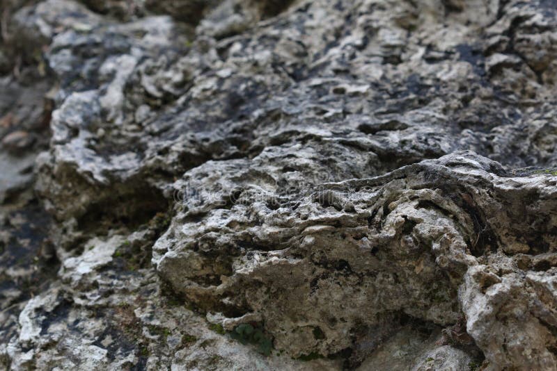 Natural Tuff Rock in the Mountains. Background Stock Image - Image of ...