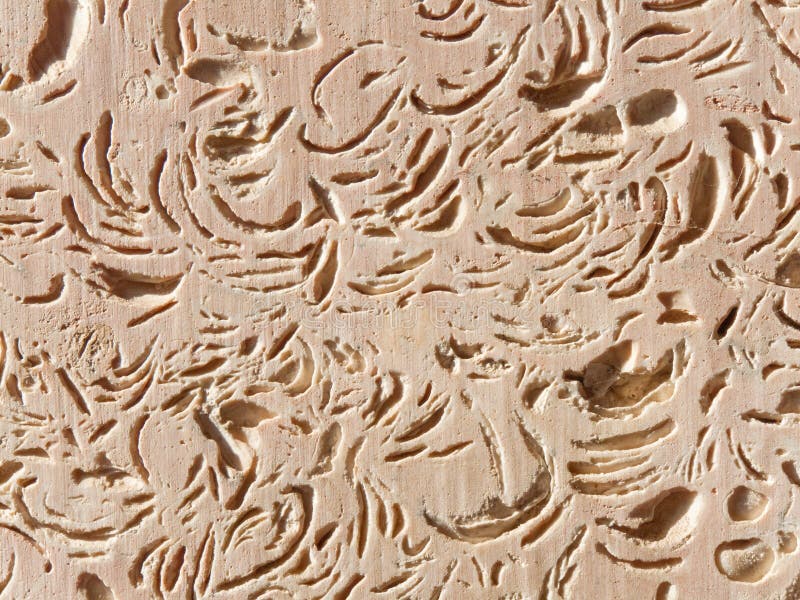 Porous texture stock photo. Image of pore, porous, texture - 21602690