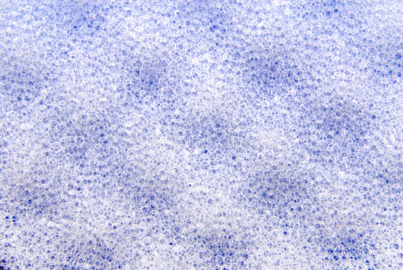 Porous Texture Beige. Wallpaper Macro Stock Image - Image of close ...