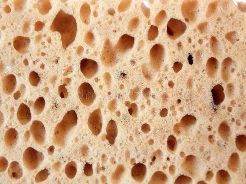 The Porous Texture of a Light Sponge Stock Photo - Image of closeup ...