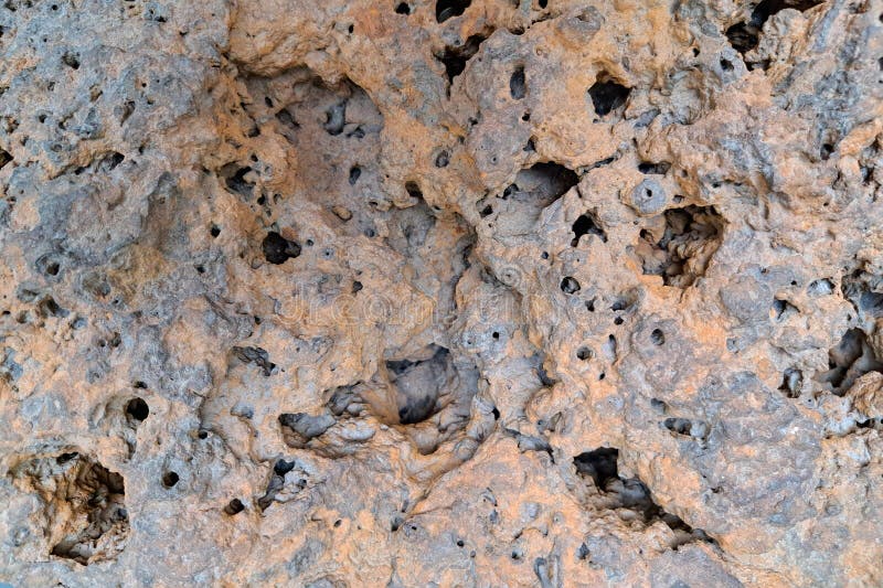 Porous, Weathered Brown Rock with Numerous Small Cavities and Irregular ...