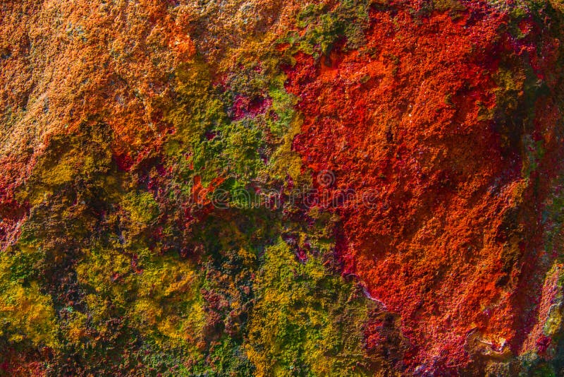 Porphyr texture stock photo. Image of grass, texture - 96836276