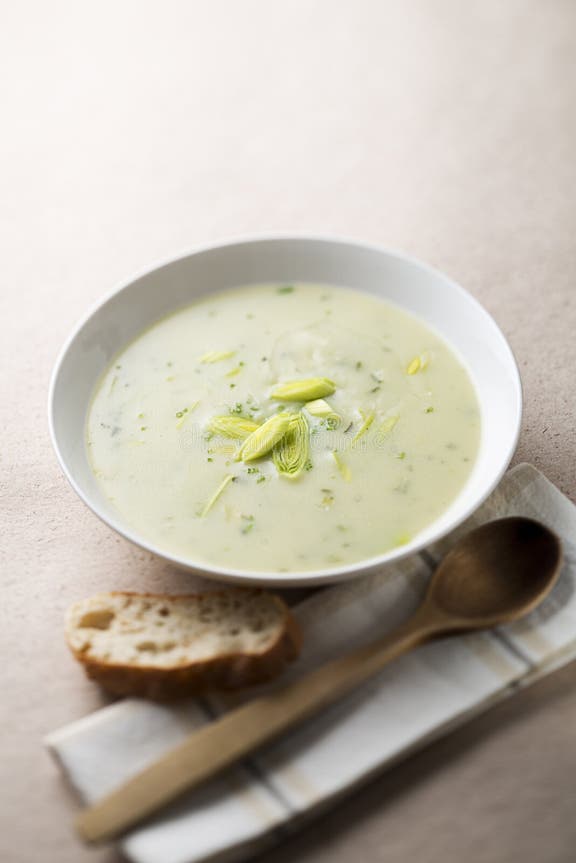 Porreesuppe stockfoto. Bild von speisen, platte, mahlzeit - 29445424