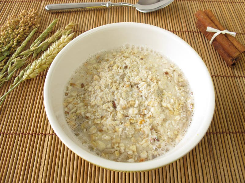 Porridge stock photo. Image of wheat, bran, baby, oatmeal - 41082680