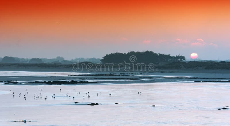 Pors Carn beach stock image. Image of france, travel - 79792633