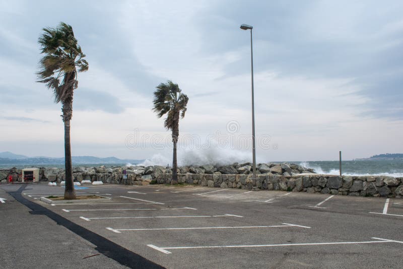 Port Cogolin Beach Shore Rainy Day with Wind Palm Trees Stock Image ...