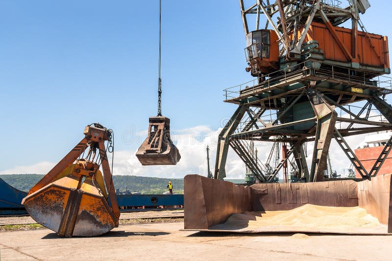 536 Ship Corn Photos - Free & Royalty-Free Stock Photos from Dreamstime