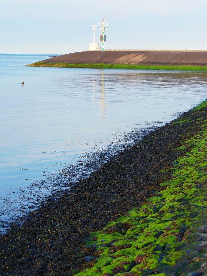 Den helder stock image. Image of seashore, netherlands - 135878309
