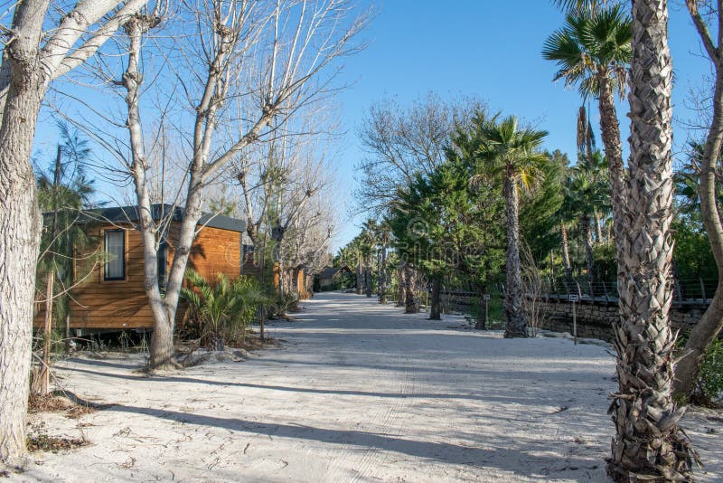 Port Grimaud Camping Trees and Paths Day Time Editorial Photo - Image ...