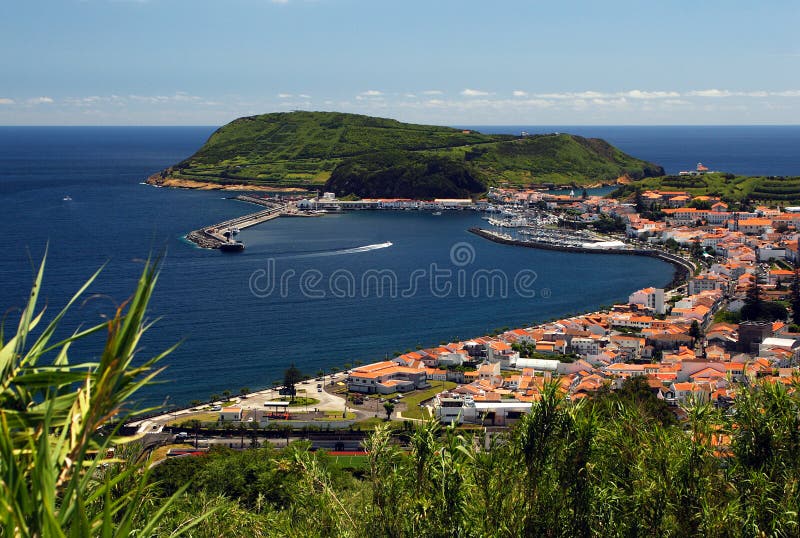Field and Hydrangeas in the Faial Island Stock Image - Image of field ...