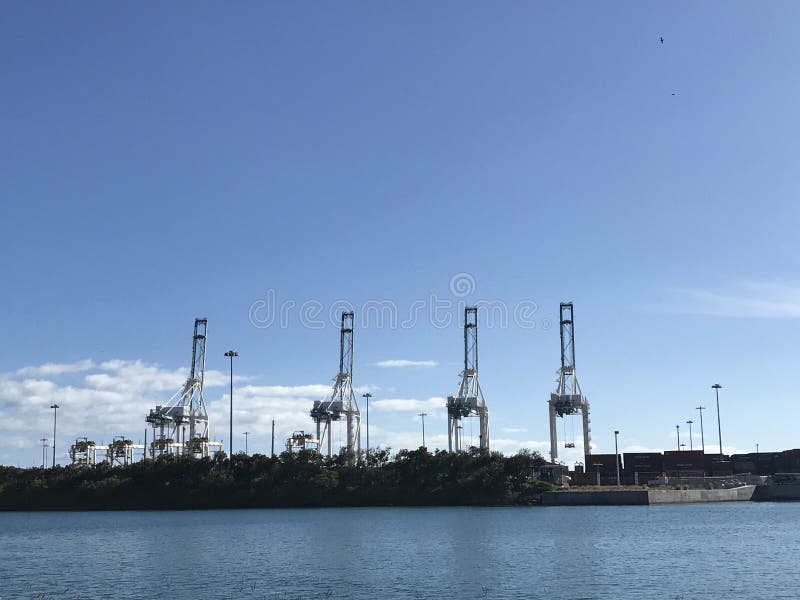 Port of Miami Cargo Terminal Cranes View. Photo Image Stock Image ...