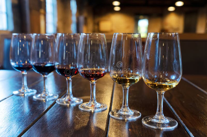 Port wine testing stock photo. Image of party, portugal - 333724682
