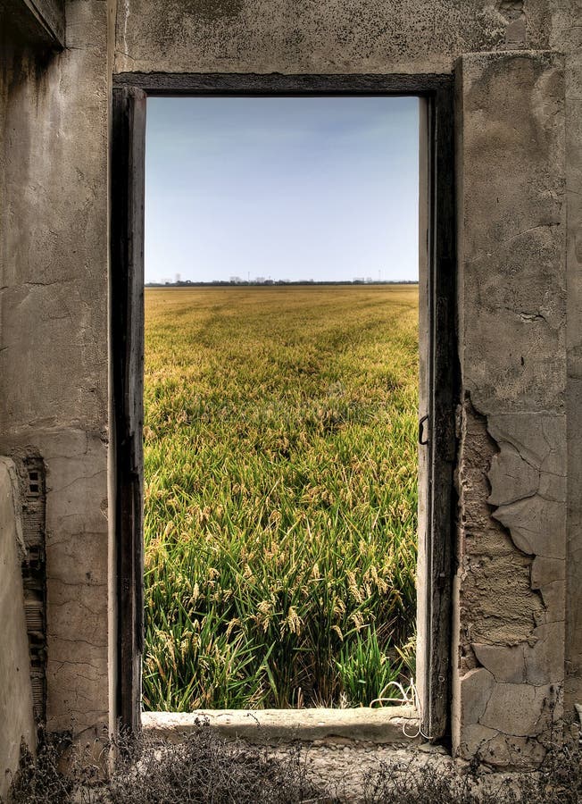 Porta aperta immagine stock. Immagine di libertà, risaia - 12387939