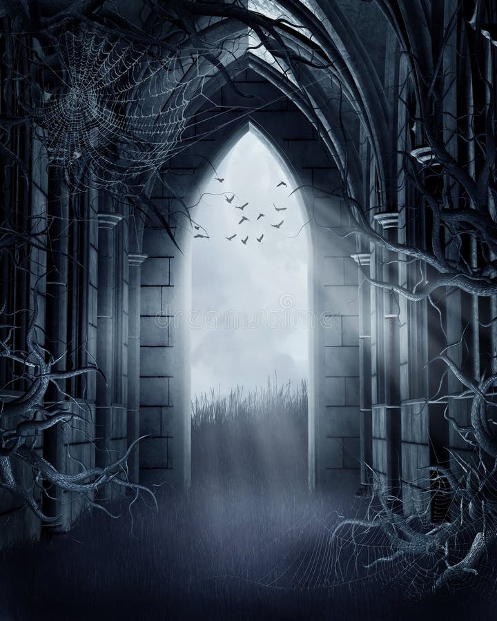 Porta Assustador Com Teias De Aranha Ilustração Stock - Ilustração de ...