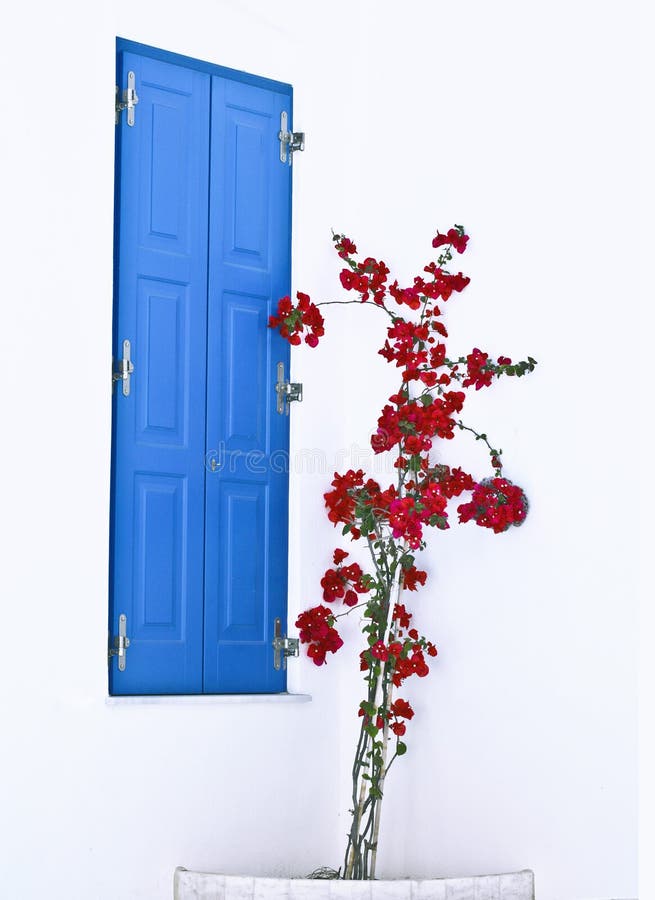 Porta & flores azuis imagem de stock. Imagem de jardim - 32496869