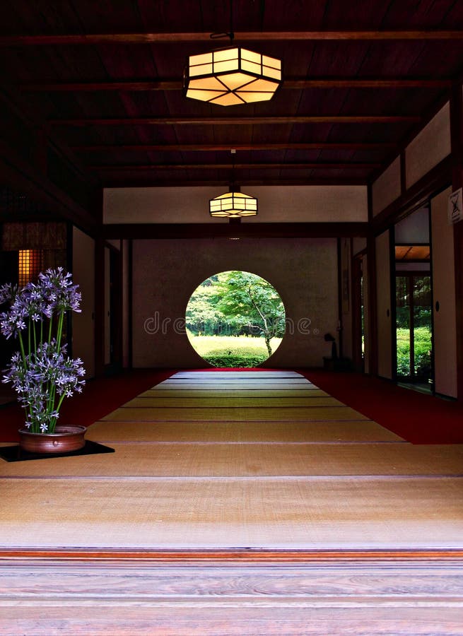 Rotondo-occhio giapponese immagine stock. Immagine di uccello - 40125549