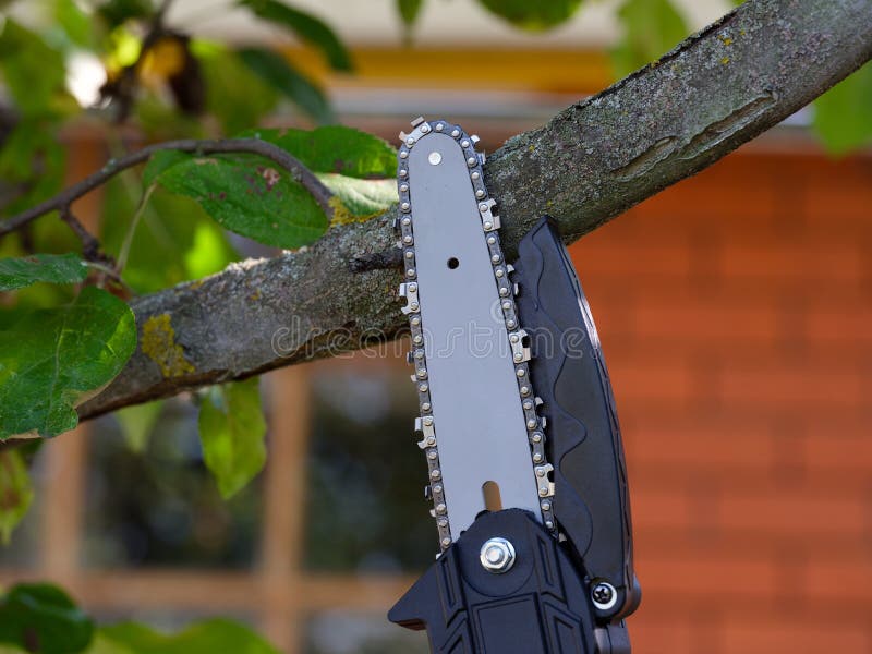 Electric Saw on an Old Tree in the Yard. Stock Photo - Image of ...