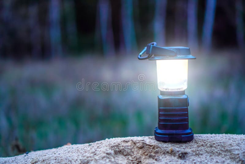 Portable Flashlight Standing on Land of Forest Stock Photo - Image of ...