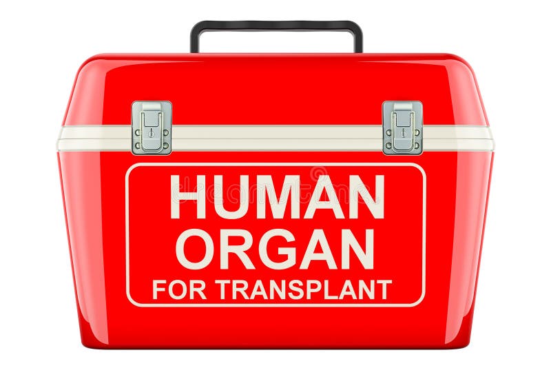 Portable Fridge for Transporting Donor Organs. Transplant Cooler, 3D ...
