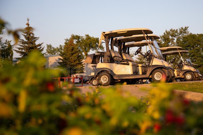 Portable Golf Cart stock photo. Image of portable, cart - 136473594