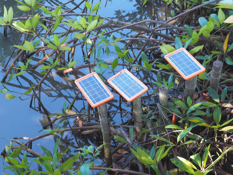 Portable Solar Panel Setting in Pond for Gaeden Lighting Stock Photo ...