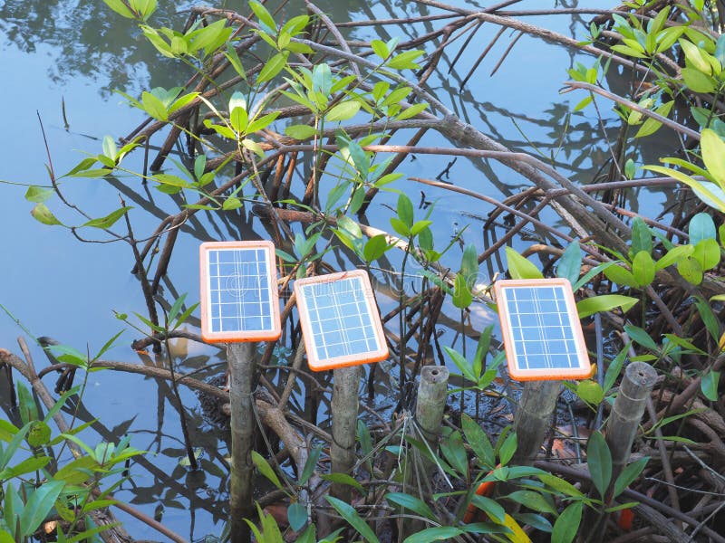 Portable Solar Panel Setting in Pond for Gaeden Lighting Stock Photo ...