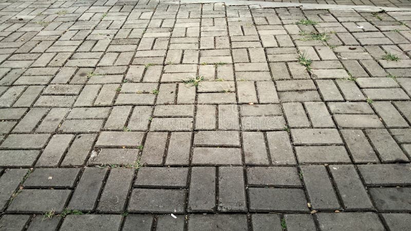 Portait of a Conblock Floor in State High School Yard Stock Image ...