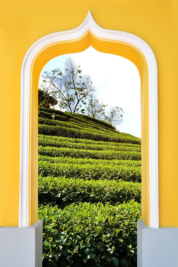 Portal to freedom stock photo. Image of door, dream, hope - 42527448