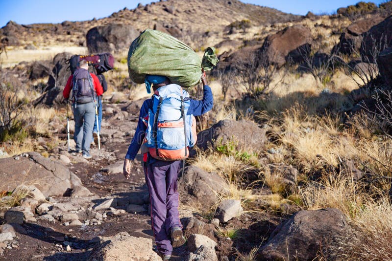 A Porter Carrying Heavy Load on His Back Walks Along the Road Stock ...