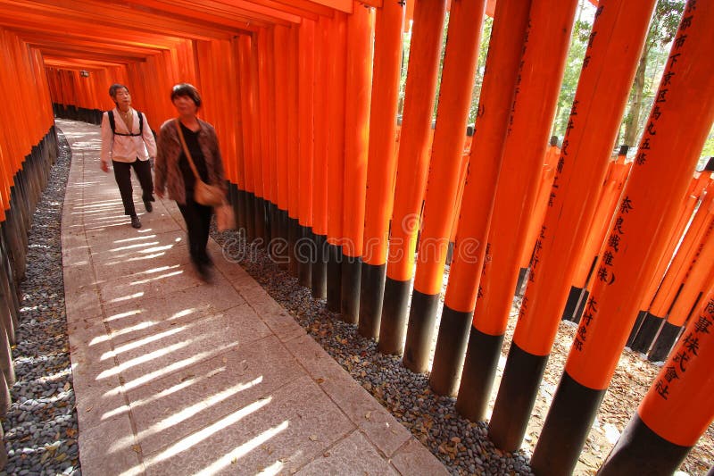 Porte de torii de Kyoto image stock. Image du rouge, bouddhiste - 3496333