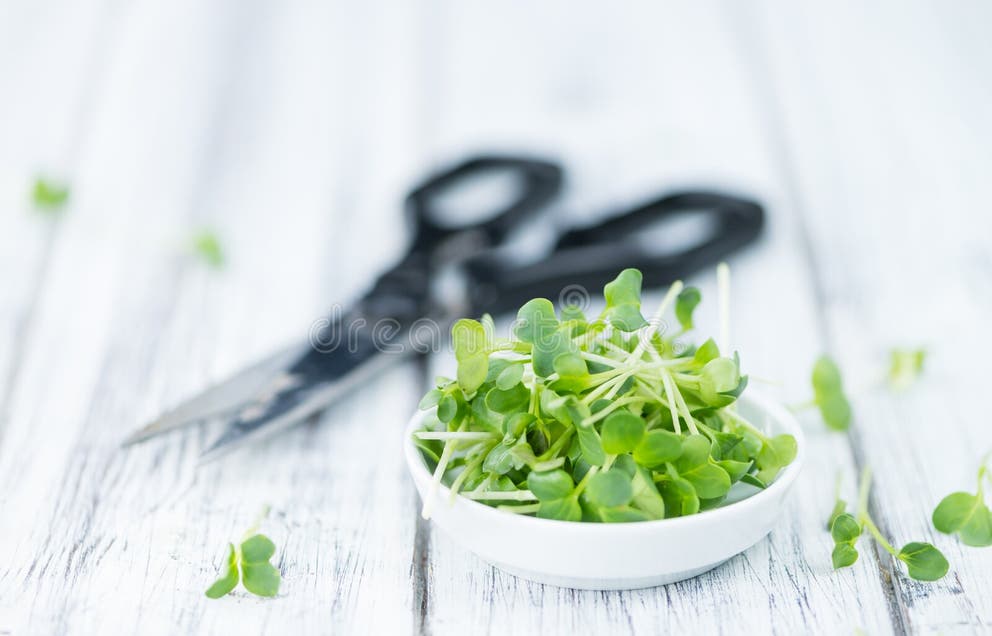 Portion of Cutted Cress stock image. Image of industry - 96951555