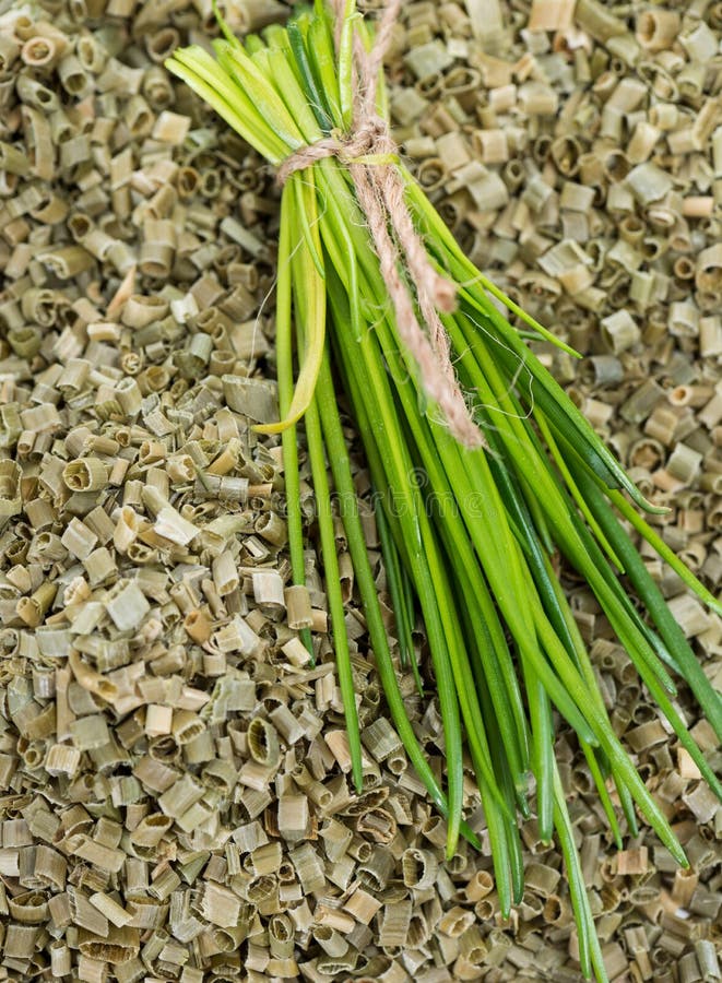 Portion of dried Chive stock image. Image of freshness - 39038341
