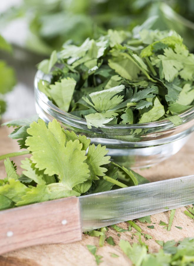 Fresh Cilantro stock photo. Image of plant, closeup, flavor - 39287580
