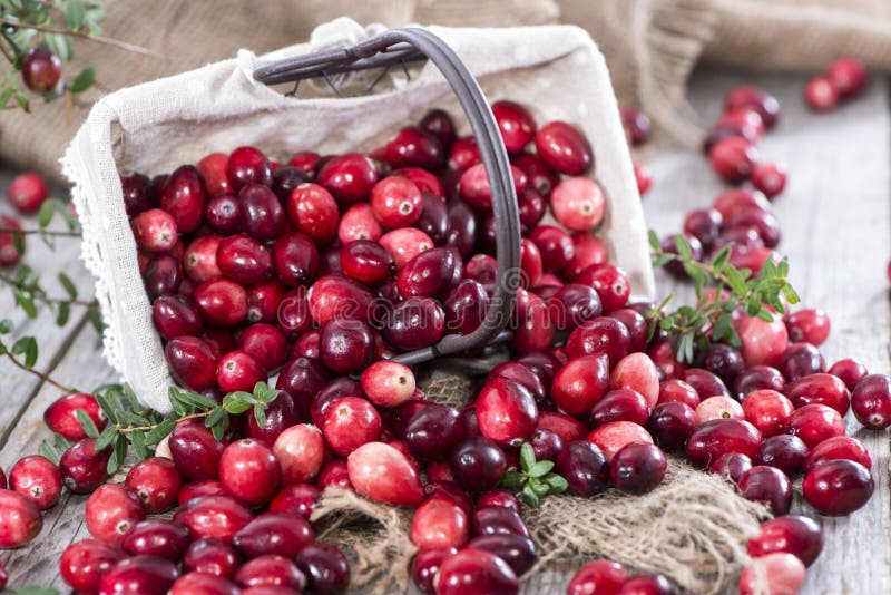 Fresh Picked Alaska Cranberries Stock Image - Image of plump, bowl ...