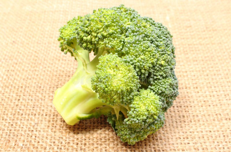 Portion of Fresh Green Broccoli on Jute Canvas Stock Image - Image of ...