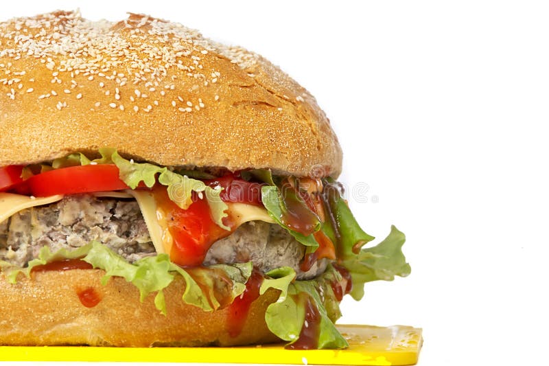 Portion of Fresh Tasty Burger Stock Photo - Image of meat, lunch: 293660988
