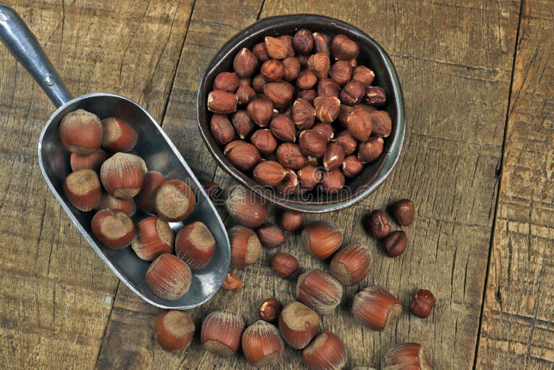 Portion of Hazelnuts, with and without Shell Stock Photo - Image of ...