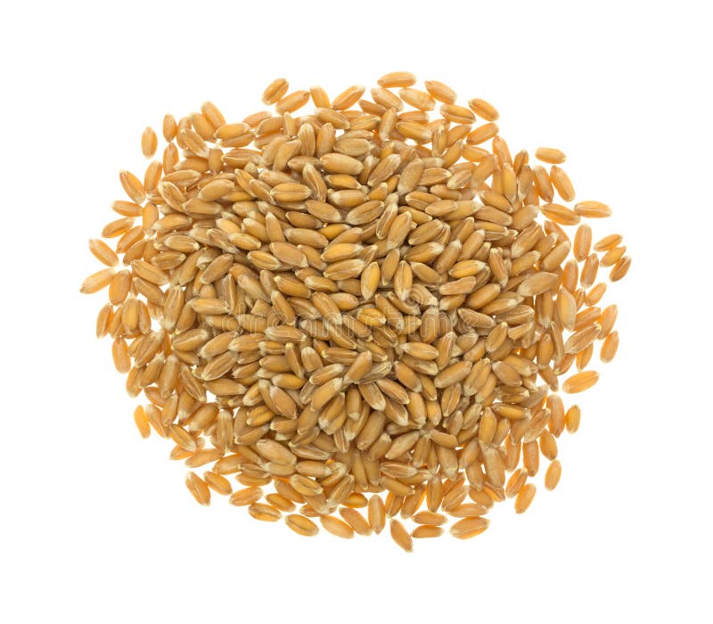 Portion of Organic Spelt Isolated on a White Background Stock Image ...