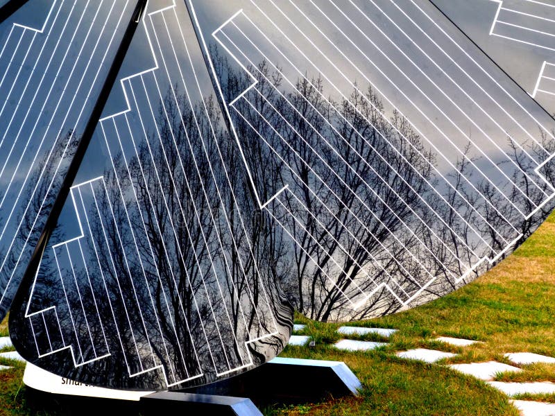 Portion of Solar Panel with Reflecting Tree Stock Photo - Image of ...