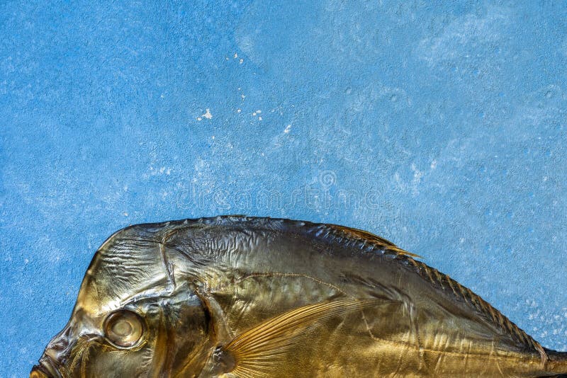 Selena Vomer. Fish In The Night, Sea Background For A Screensaver Stock ...