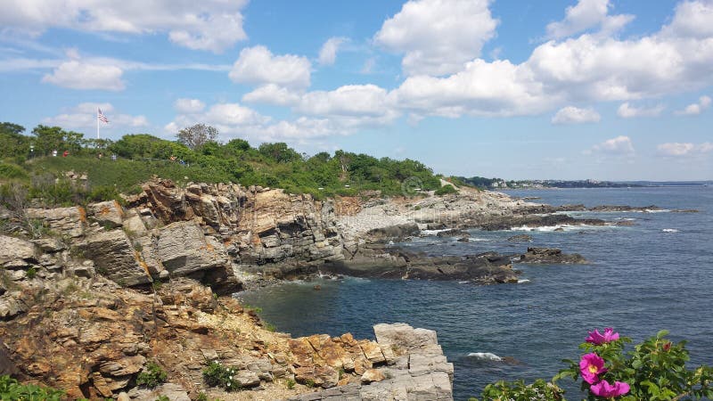 Portland Bay stock photo. Image of water, portland, flowers - 74889032